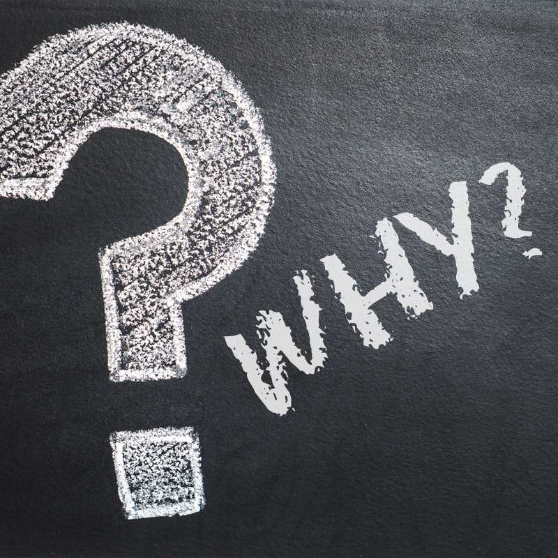 Why? – Red Bank Baptist Women's Ministry